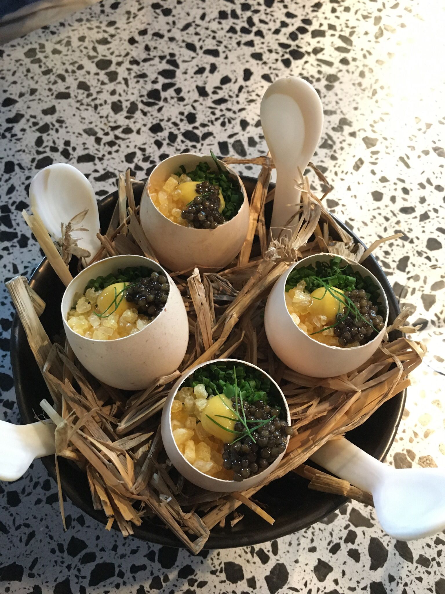 Zeevissen met de VKGO - https://www.blokboek.com